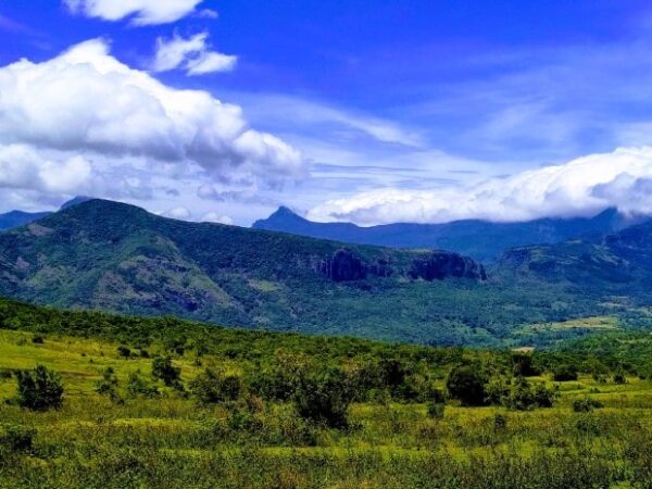 Home - Knuckles Adventure